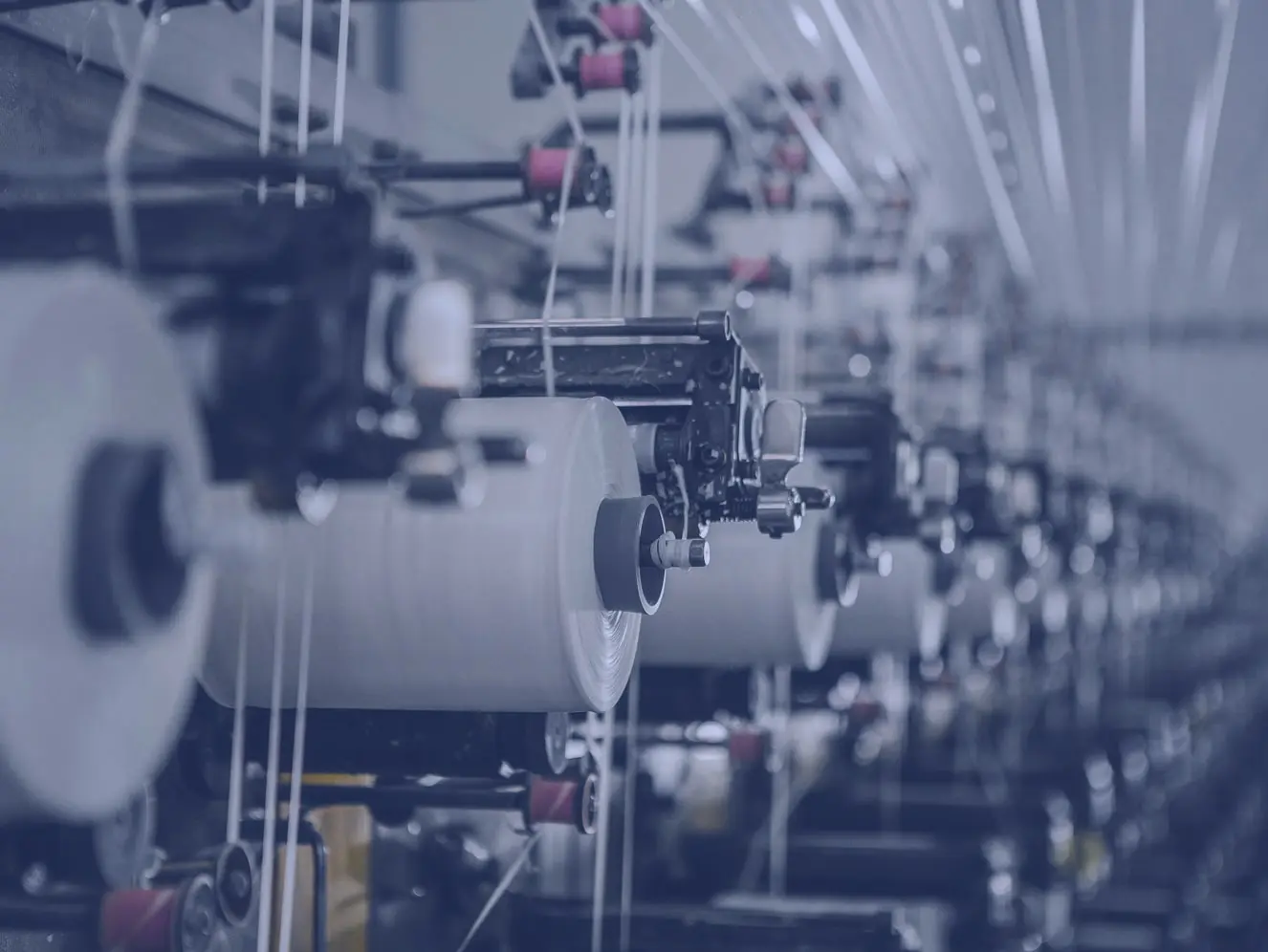 About Limonta Informatica | Textile Solutions Group (TSG)